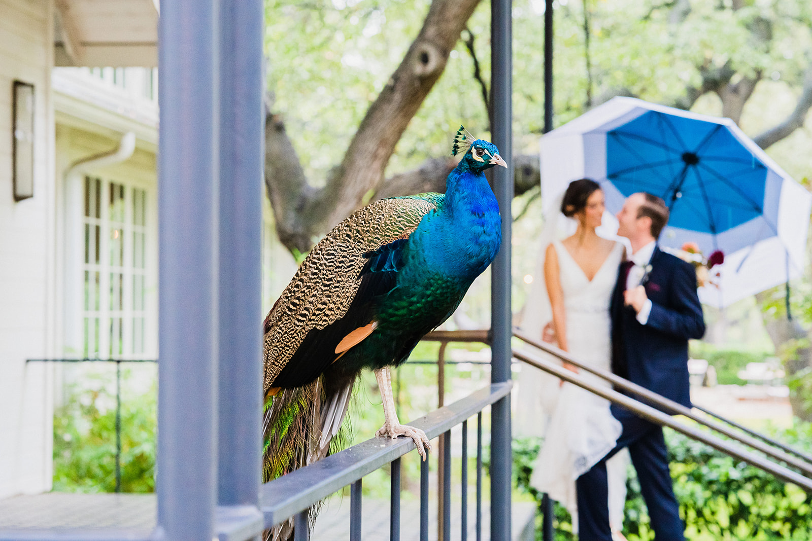 Lauren Slusher – Austin Wedding Photographer
